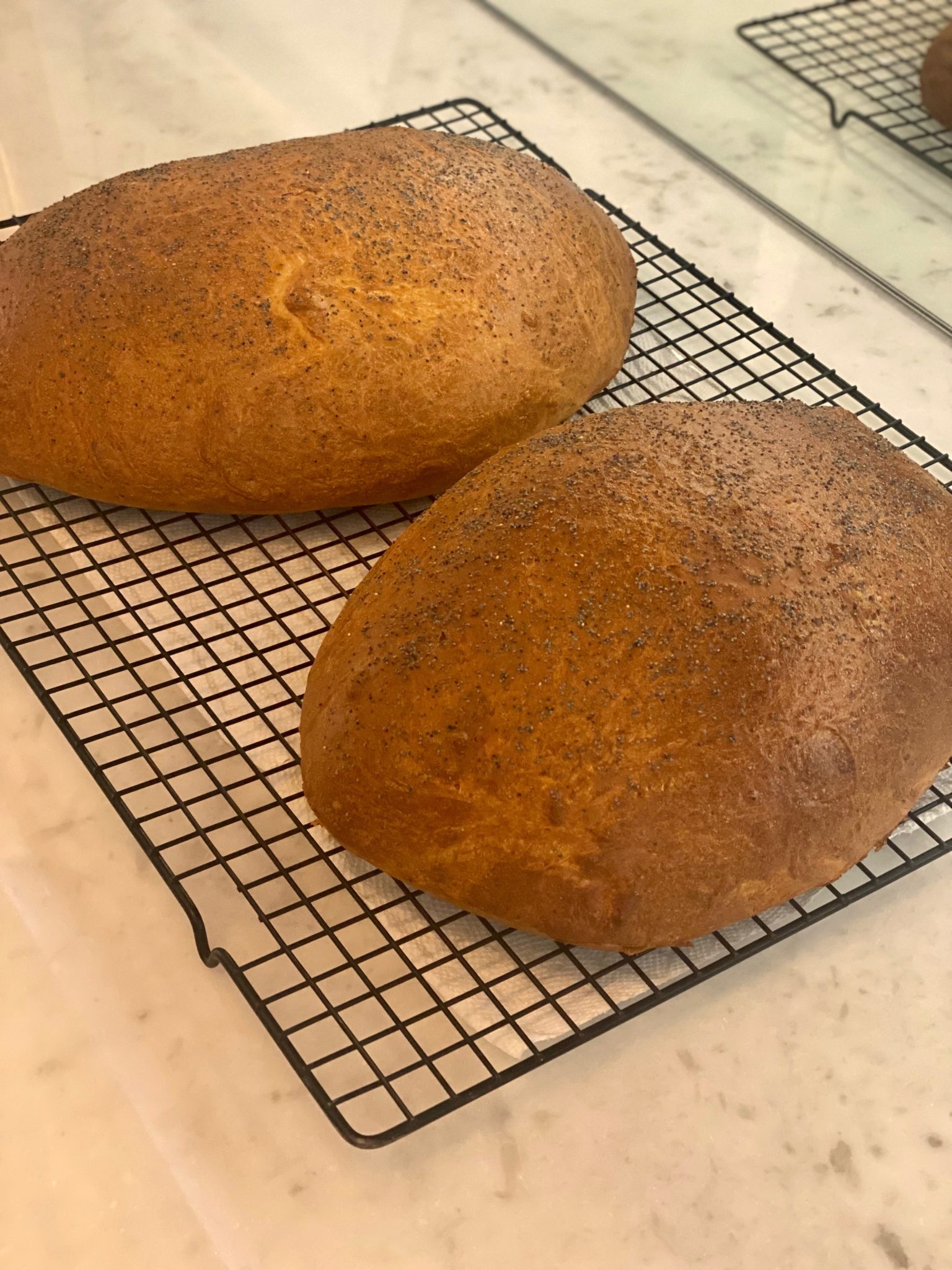 Bread Baking for Beginners: Soft Enriched Poppyseed Loaf - Pine & Palm ...